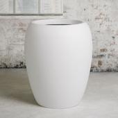 Silver Evergreen With Mid-Century Pot Large 2½-3 ft tall – White Mid ...