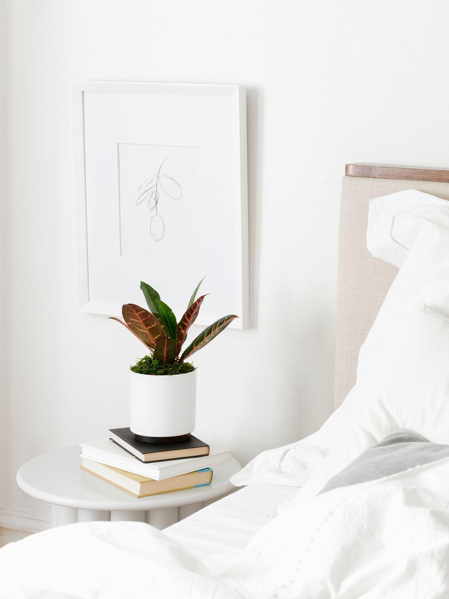 Golden Petra Small (8–12 in tall) – Black Mid-Century Ceramic & Dark ...