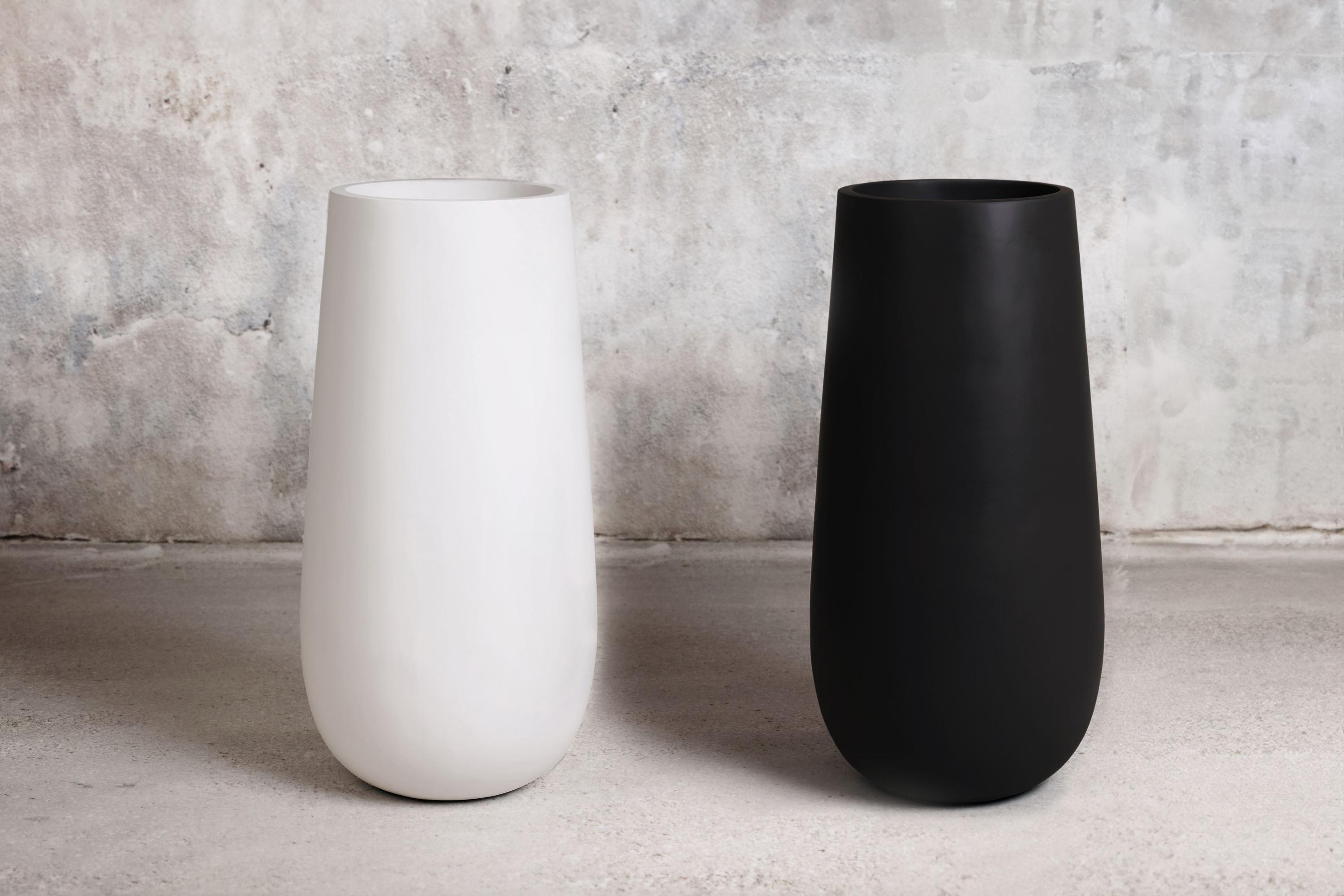 Rubber Tree With Flute Pot Extra Large 6 ft tall – White Flute Pot ...