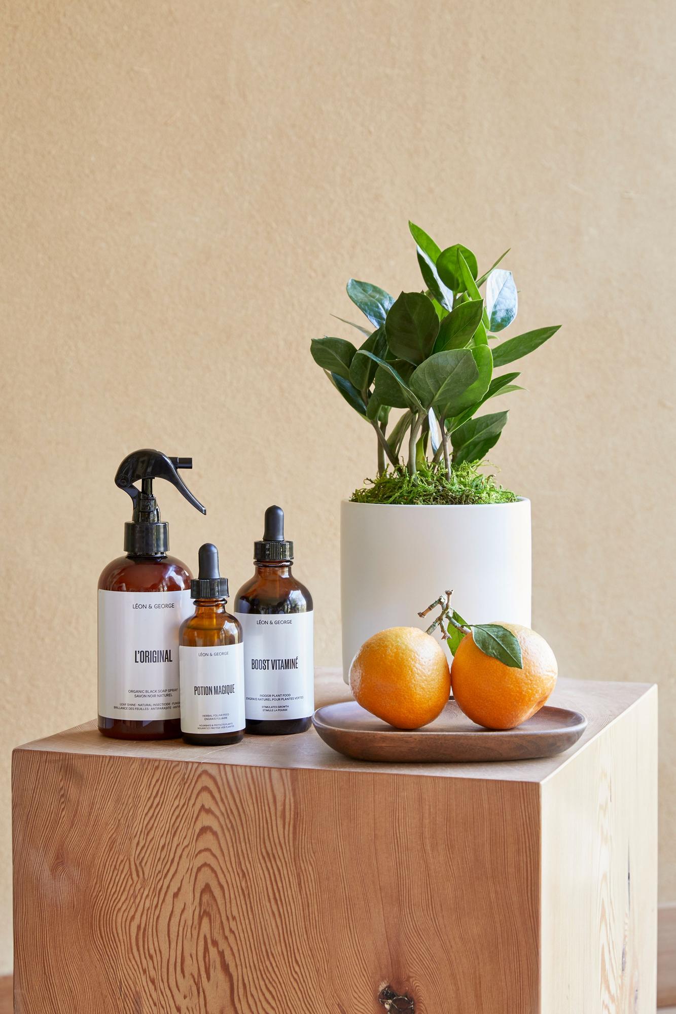 Preventive Plant Care Essentials, plant accessory, shipped by Léon & George