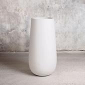 Dracaena Lisa With Flute Pot Extra Large 8 - 9 ft tall – White Flute ...