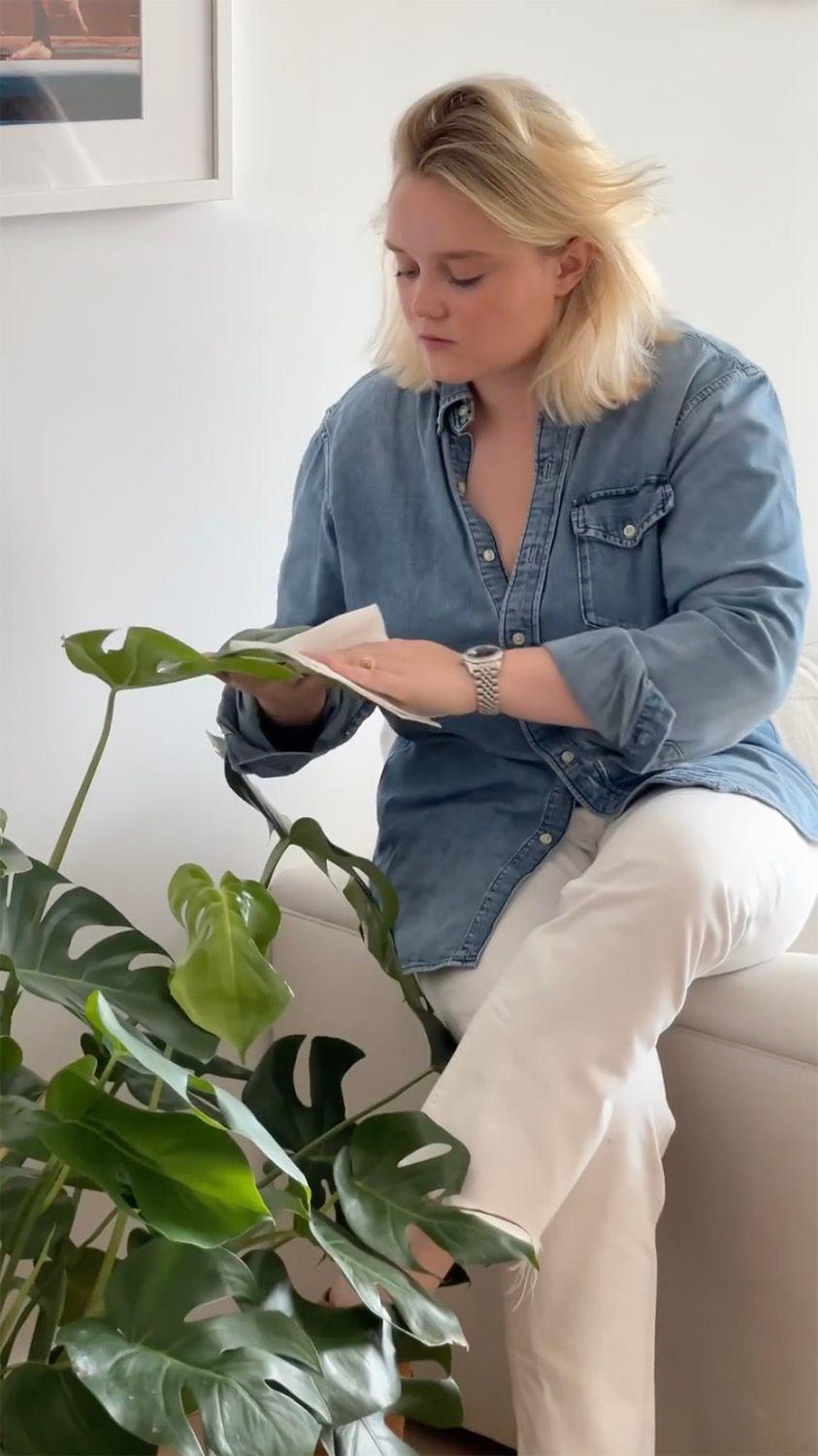 Monstera Deliciosa Large (1m00) Mid-Century – Le 32 - Velvet blanc mid ...