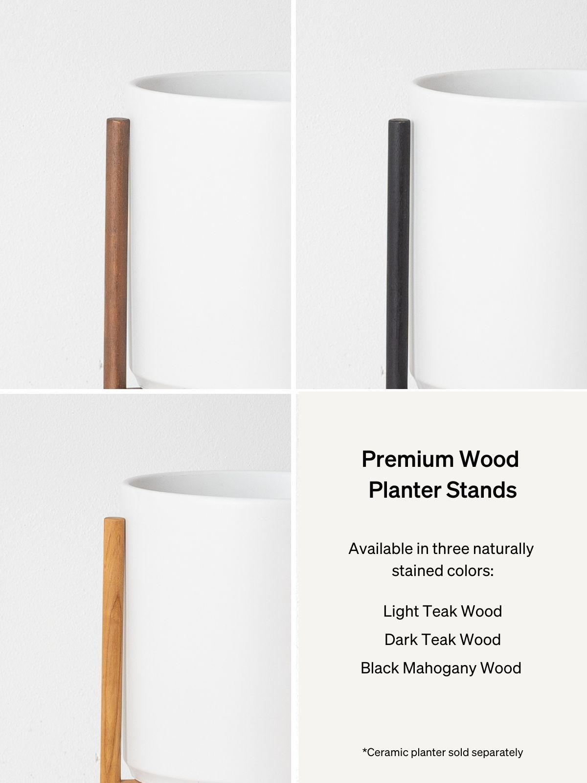 Premium Plant Wood Stand | Léon & George