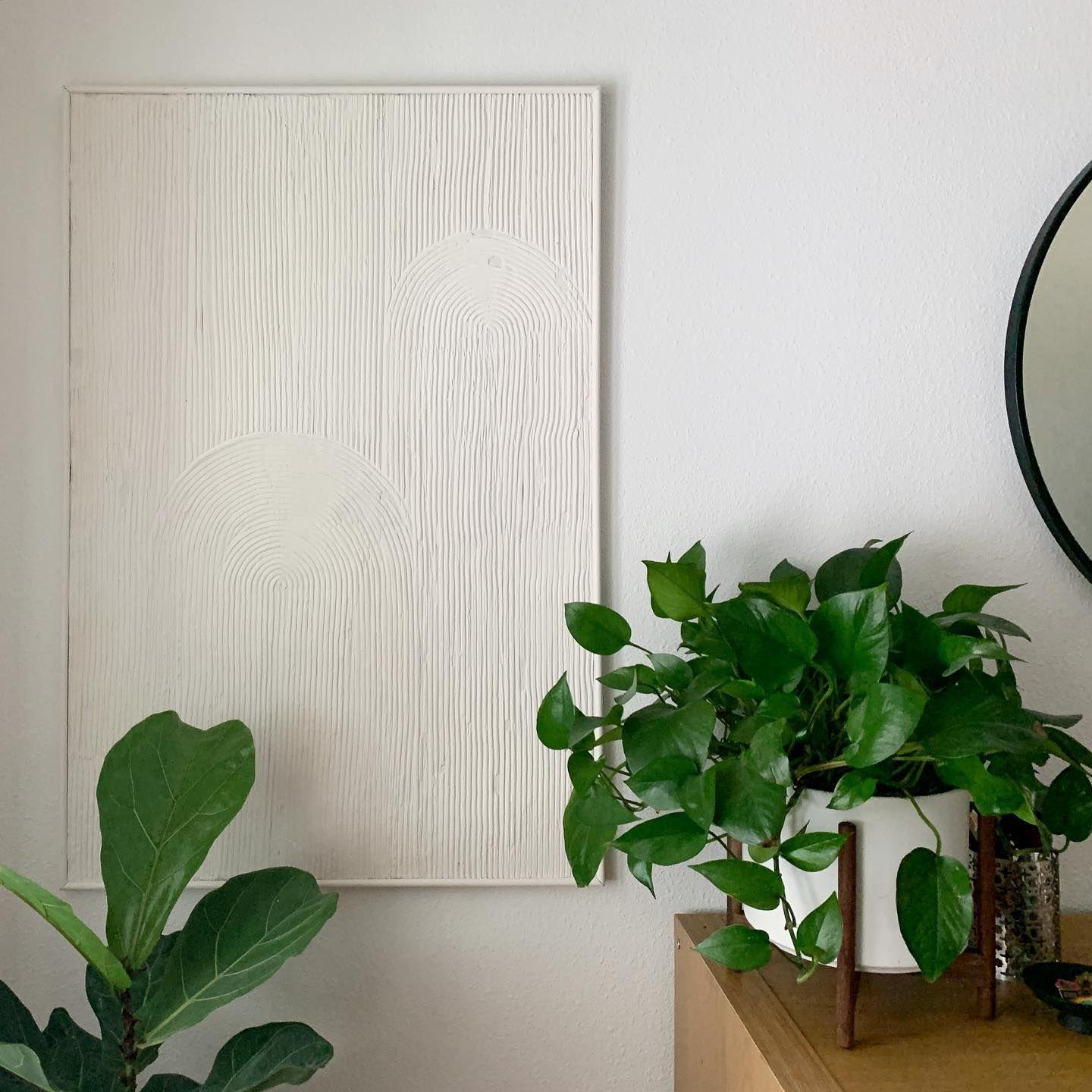 Cascading Pothos With Mid-Century Pot Medium 1 - 1½ ft tall – Black Mid ...