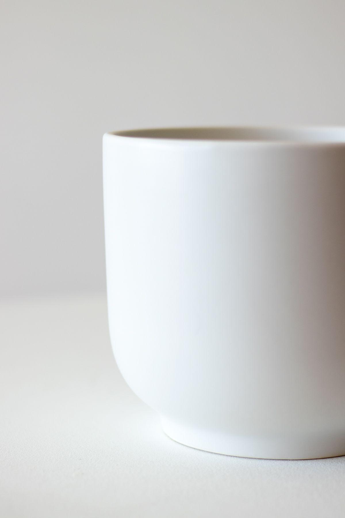 Cascading Pothos With Nouvelle Pot Medium 1-1 ½ ft tall – Black ...