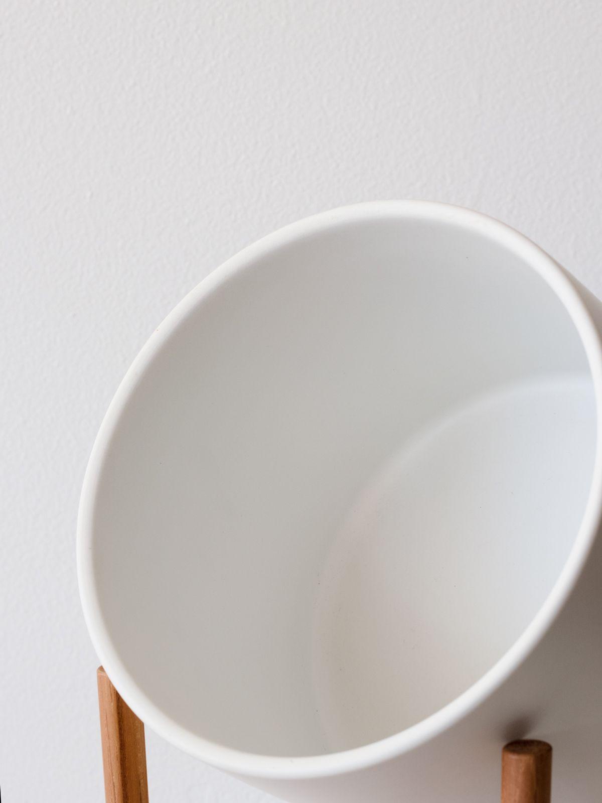 Pothos & Snake Duo With Mid-Century Pot Medium 1 ½ ft tall – Black Mid ...