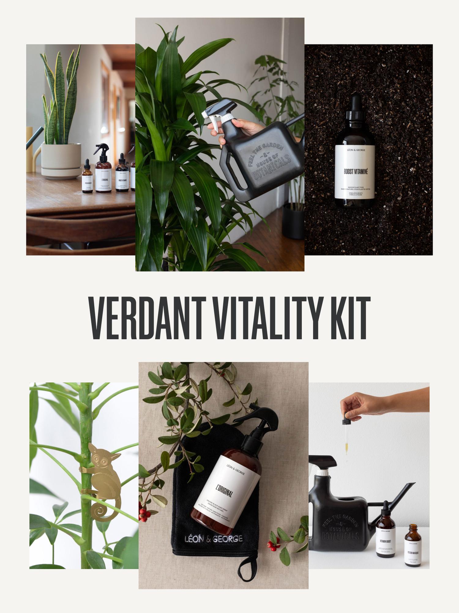 Verdant Vitality Kit, plant accessory, shipped by Léon & George