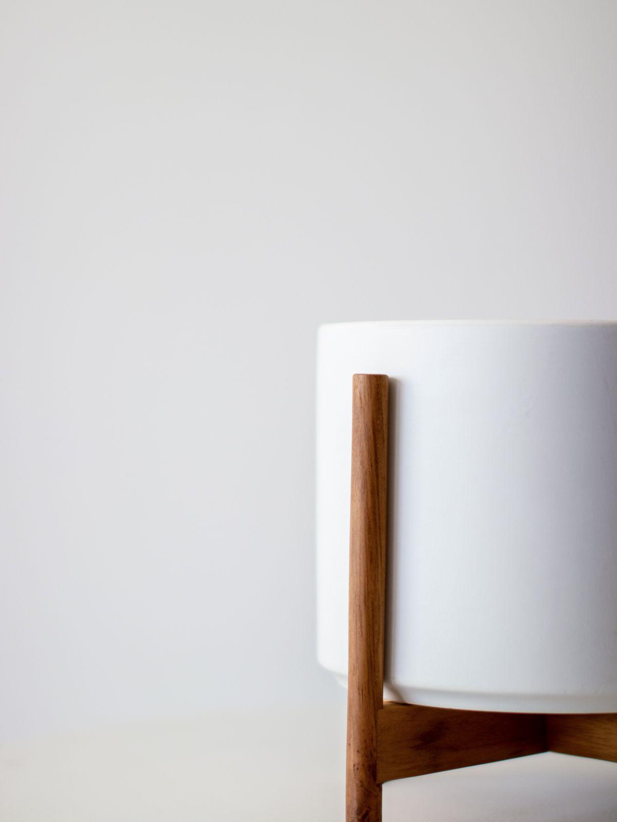 Cascading Pothos With Mid-Century Pot Medium 1 - 1½ ft tall – Black Mid ...