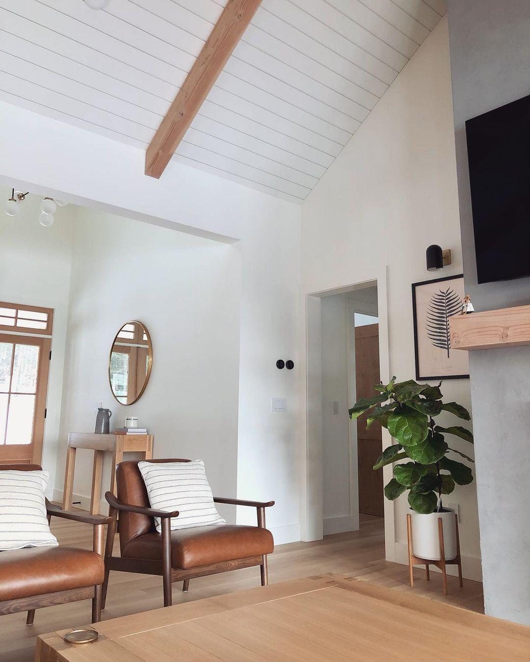 Fiddle Bush Duo With Mid-Century Pot Large 3 ft tall – Black Mid ...