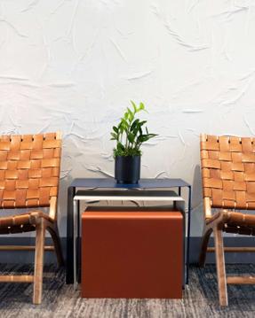 Office Plant Guides: Best Plants for the Workplace by Léon & George